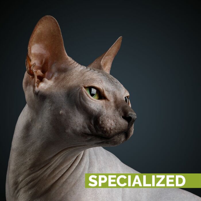 Skinsational -Exfoliante p/gatos Sphynx (sem pêlo) | Mercearia do Cão